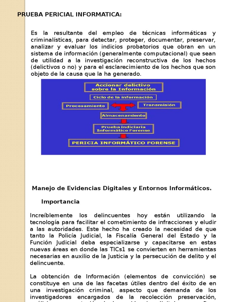 Prueba Pericial | PDF | Informática forense | Hardware de la computadora