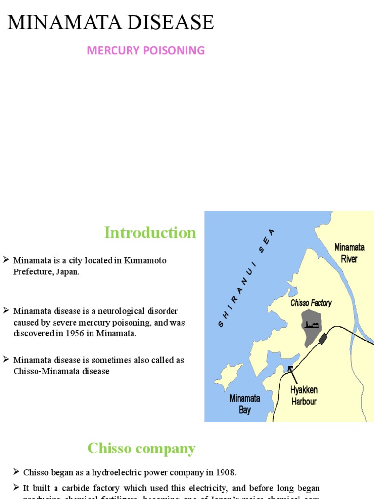 Minamata Disease: Mercury Poisoning | PDF | Mercury (Element ...
