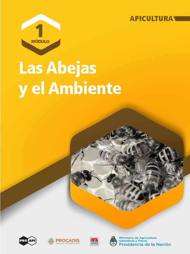 Curso Apicultura Mod 1 Pdf Pdf Apicultura Colmena