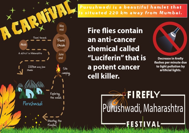 Firefly Poster Back | PDF
