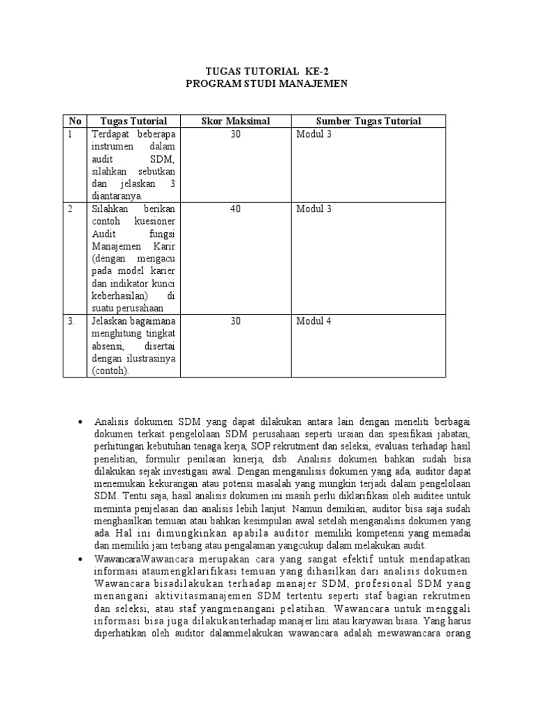 TUGAS 2 Audit SDM 20201 | PDF | Karier & Perkembangan