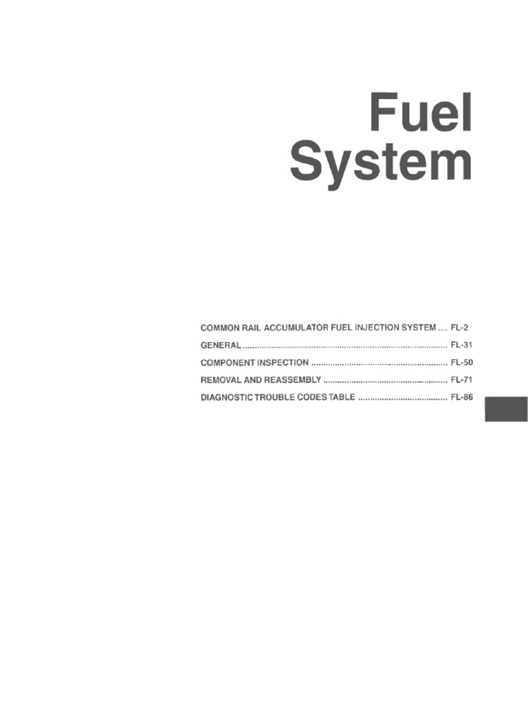 Hyundai Diesel Engine Terracan J3 Workshop Manual - Fuel System PDF | PDF