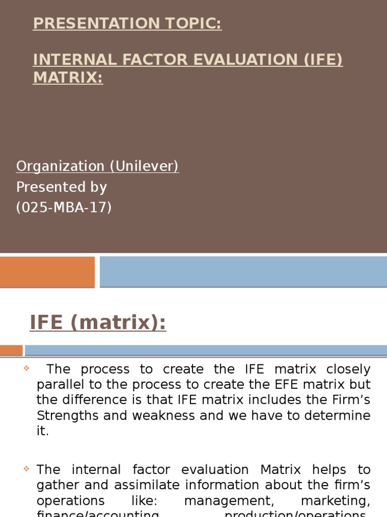 Unilever IFE Matrix Analysis | PDF | Weighted Arithmetic Mean ...