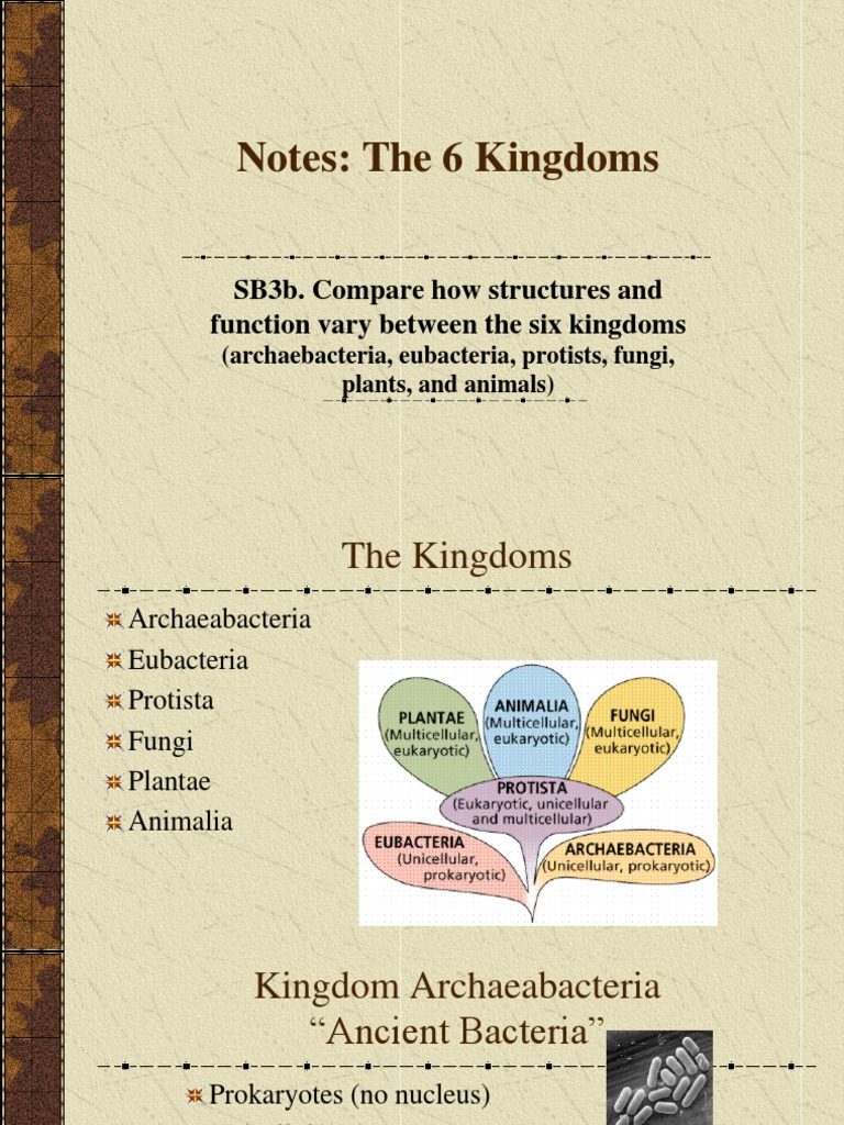 Six Kingdoms | PDF