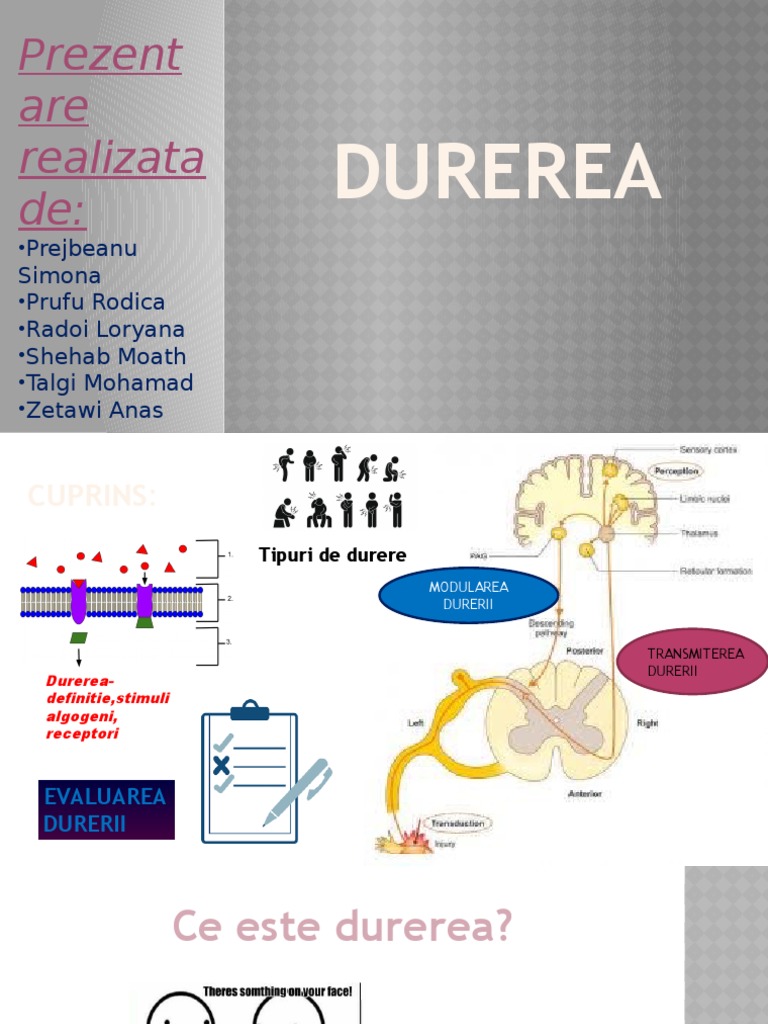 Durerea | PDF
