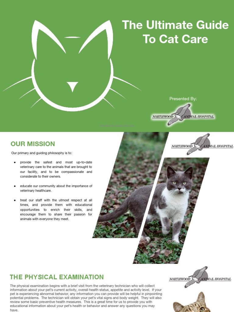 The Ultimate Guide To Cat Care: Presented by | PDF | Neutering | Cats