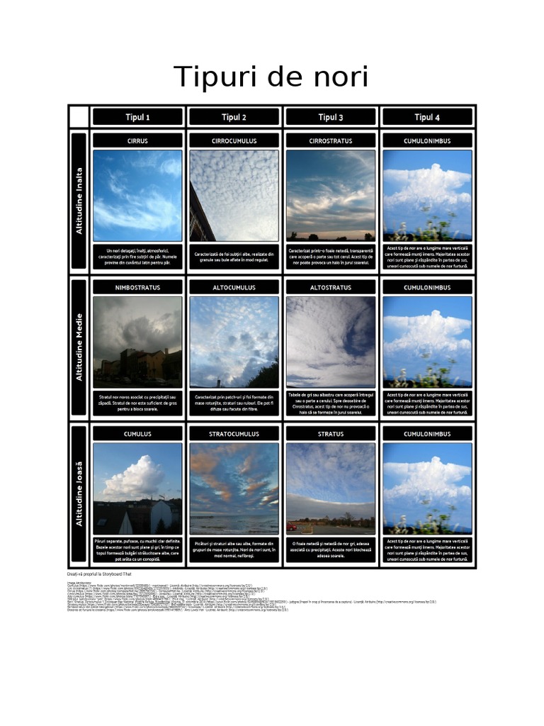 Tipuri de Nori | PDF