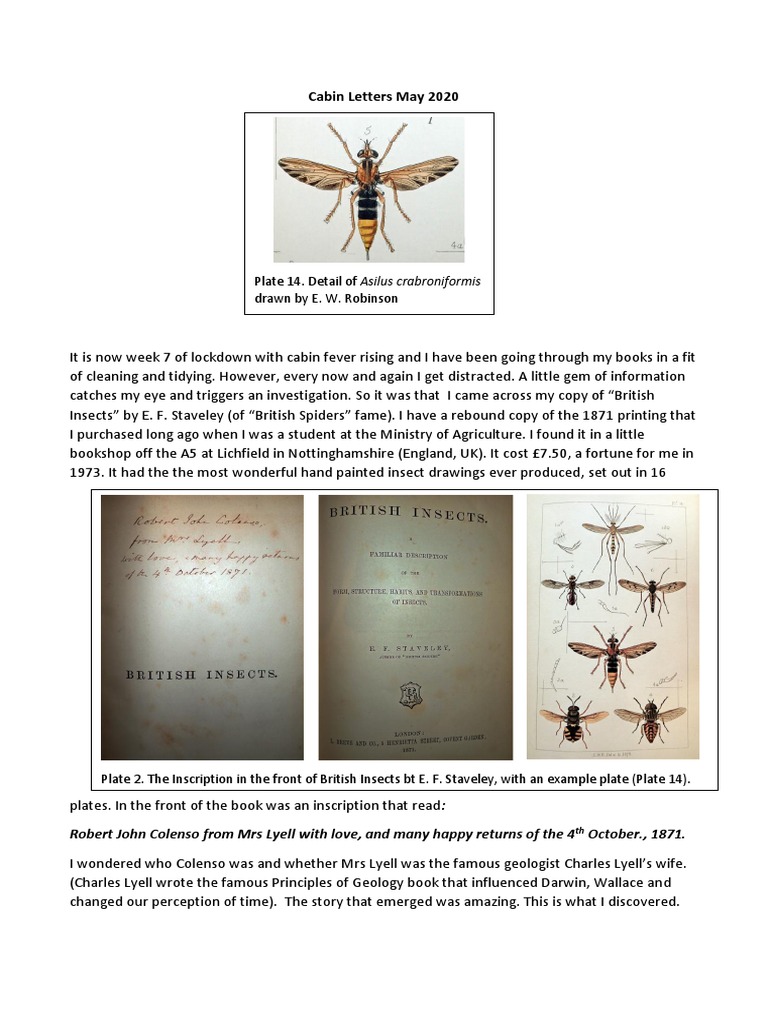 Cabin Letters May 2020 | PDF | Charles Darwin | Science