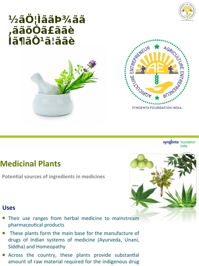 Marathi Medicinal Plants | PDF | Pharmacology | Health Sciences