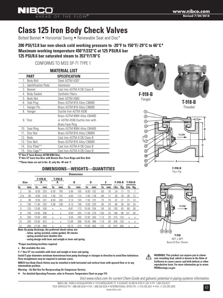 Class 125 Iron Body Check Valves | PDF | Valve | Metals