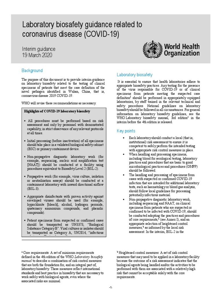 WHO WPE GIH 2020.2 Eng PDF | PDF | Infection | Laboratories