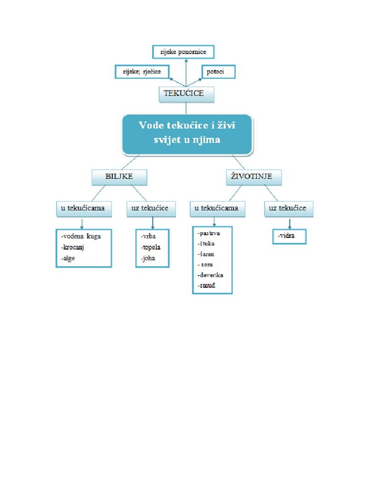 Vode Umna Mapa | PDF