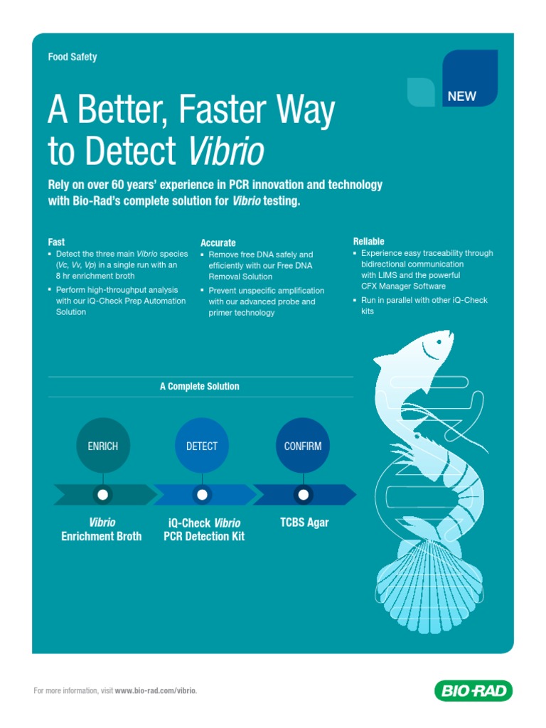 A Better, Faster Way To Detect Vibrio | PDF | Polymerase Chain Reaction ...