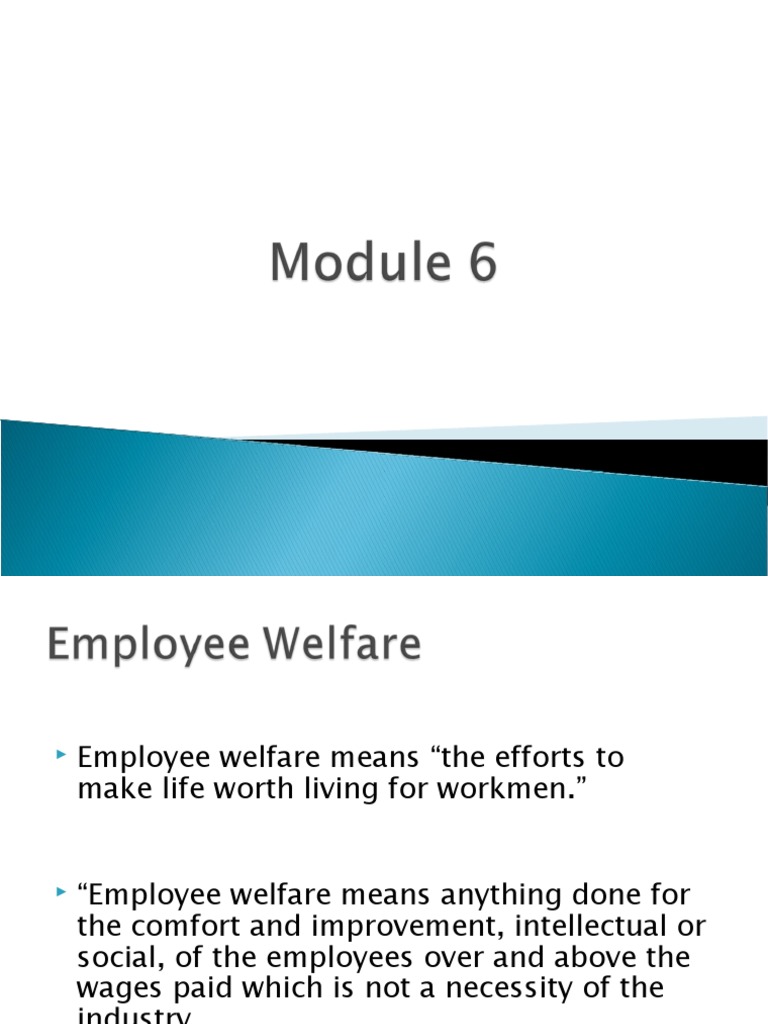 Welfare | PDF | Welfare | Employment