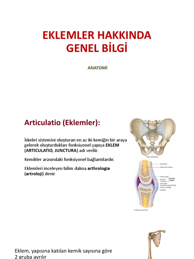 Eklemler GB-20 | PDF