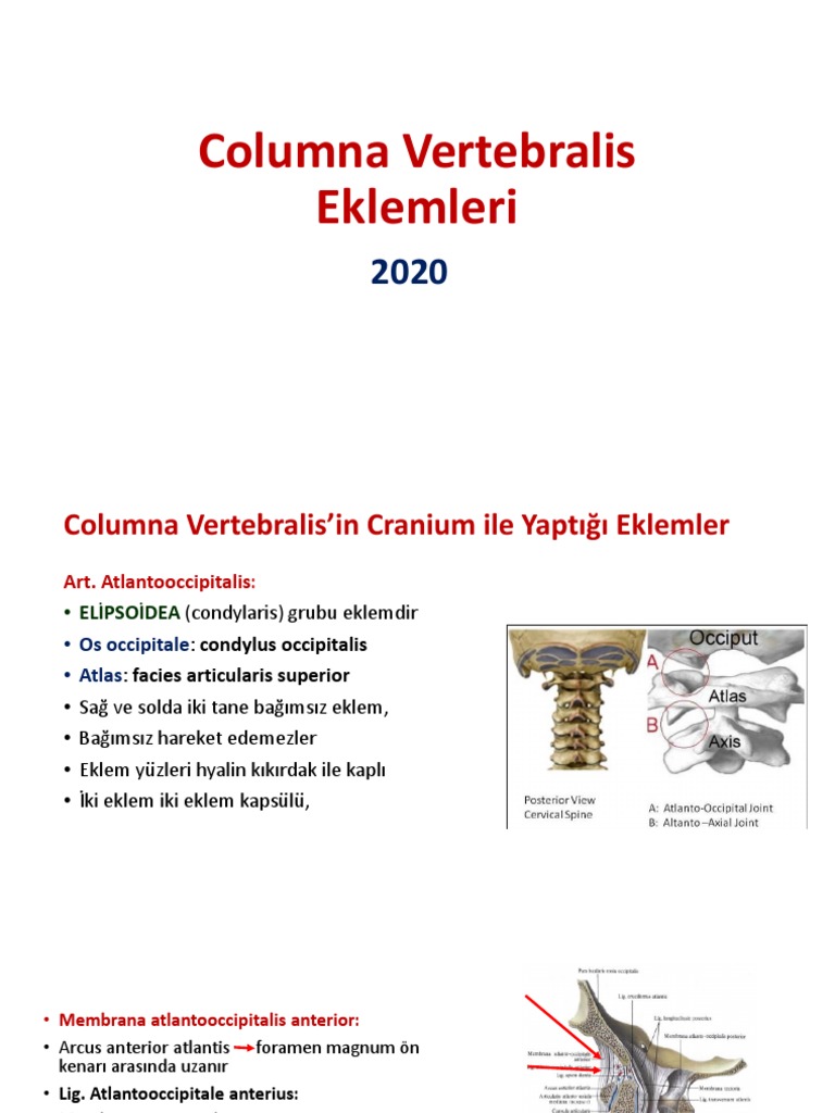 CLMN V-Eklm-20 | PDF