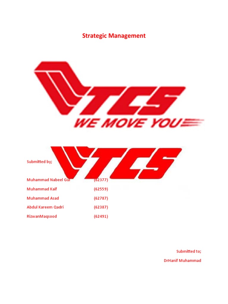 TCS Final Project | PDF | E Commerce | Swot Analysis