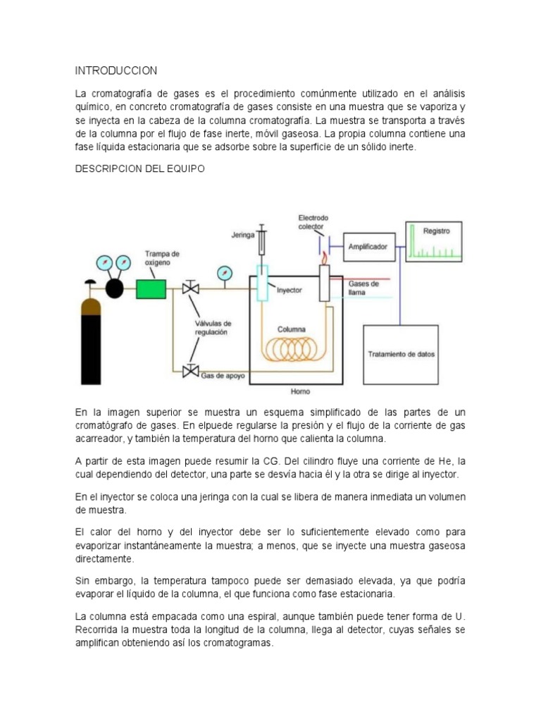 Introduccion | PDF | Cromatografía de gases | Cromatografía