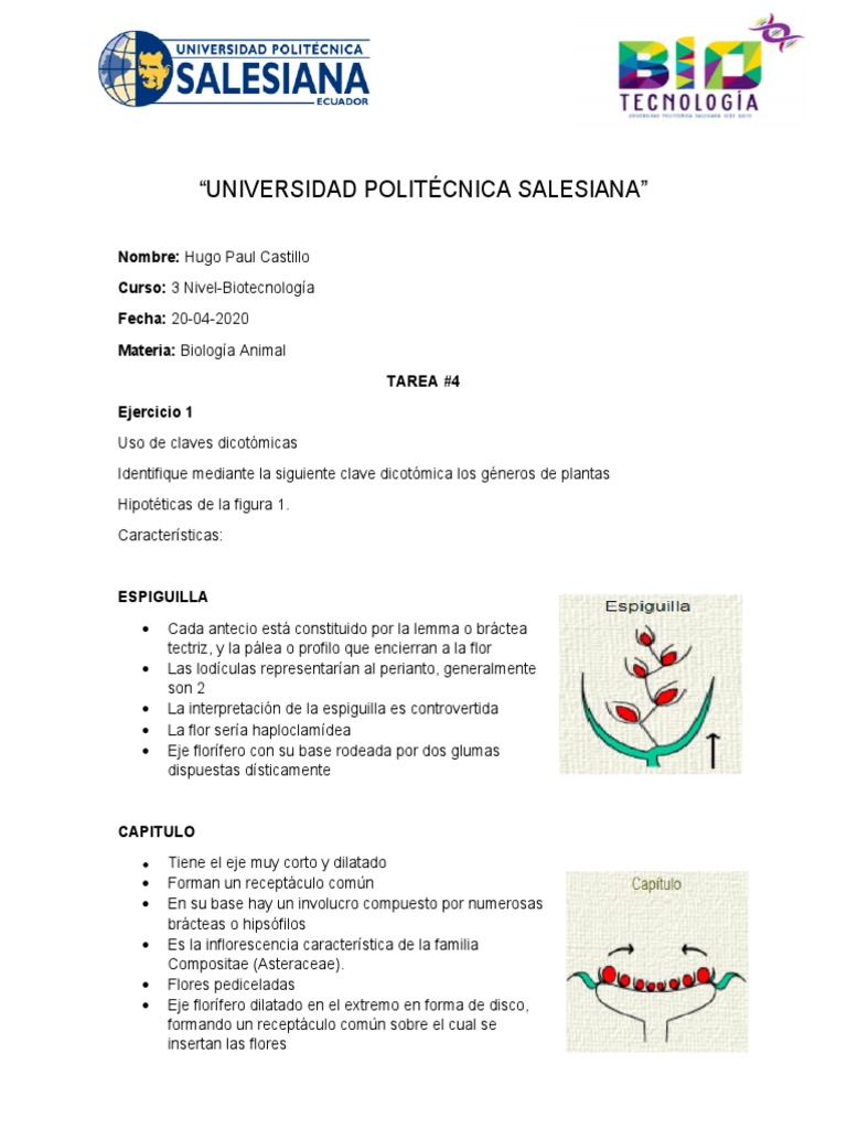 Bráctea Tectriz y Lodículas en Plantas | PDF | Ramas de la botánica ...