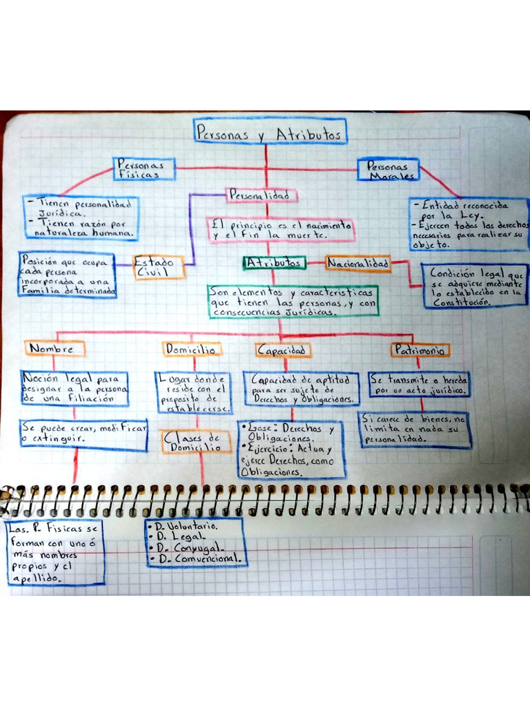 Mapa Conceptual de Atributos | PDF
