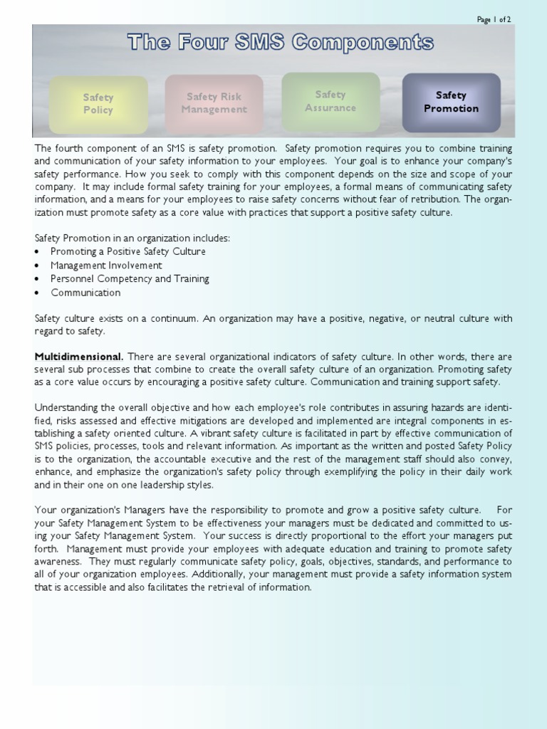 Safety Assurance Safety Risk Management Safety Policy Safety Promotion ...
