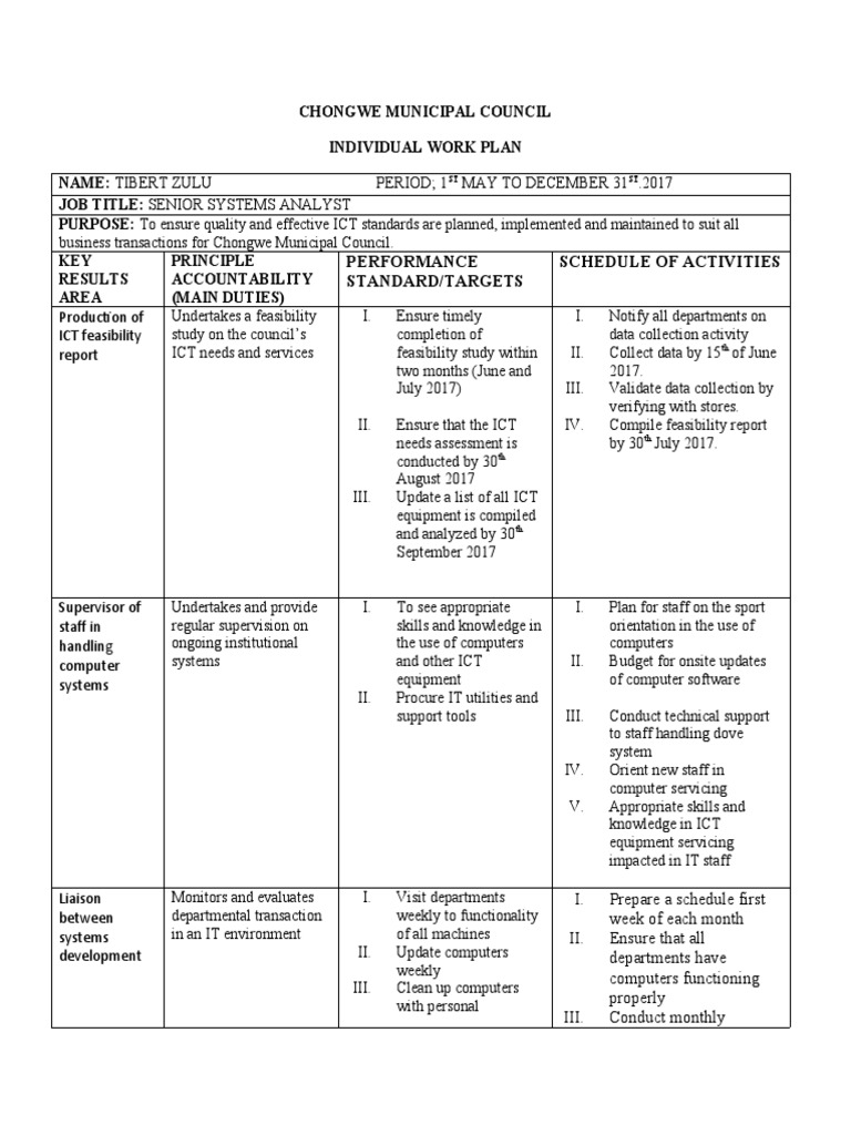 Individual Work Plan for Senior Systems Analyst at Chongwe Municipal ...