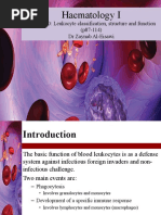 Top 5 Leukogram Patterns Explained | PDF | White Blood Cell | Lymphocyte