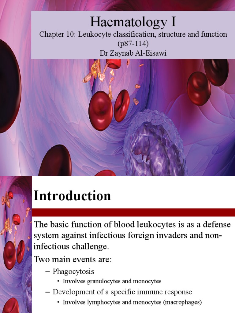 Leukocyte Structure, Function and Leukopoiesis | PDF | Granulocyte ...