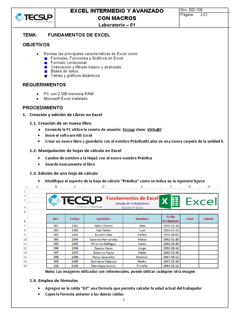 Laboratorio 01 - Fundamentos de Excel | PDF | Microsoft Excel | Software de oficina