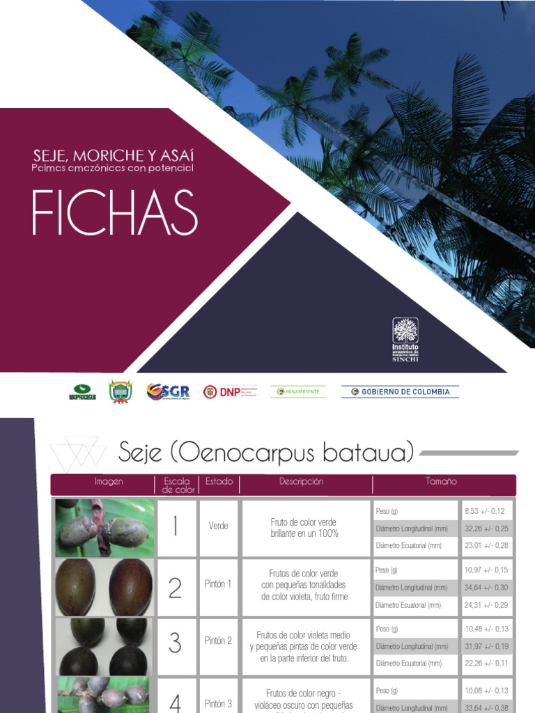 6 Seje, Moriche, Asaí Palmas Amazónicas Con Potencial Fichas | PDF ...