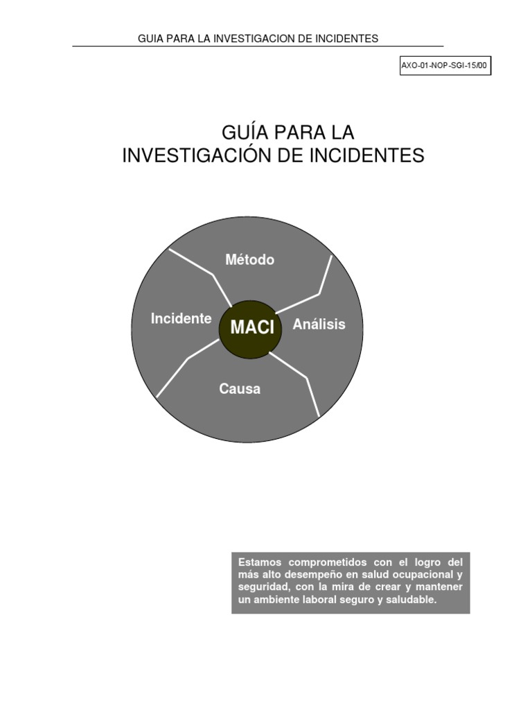 Manual ICAM PDF | PDF | Información | Science