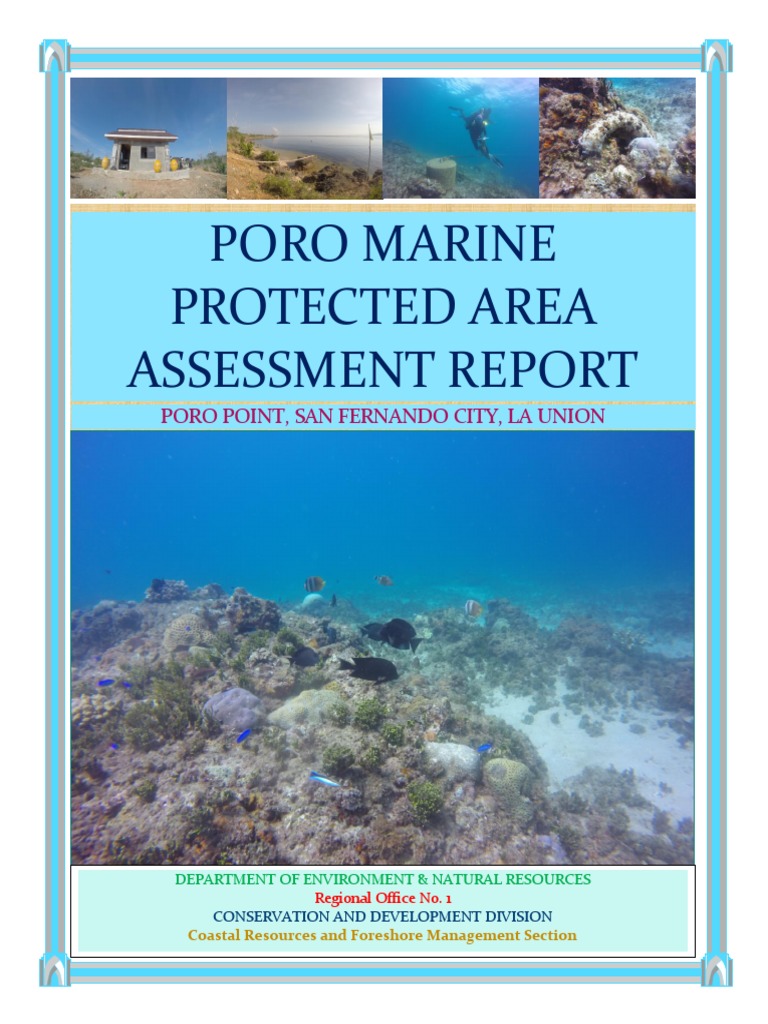 Poro Marine Protected Area Assessment Report | PDF | Coral Reef | Coral