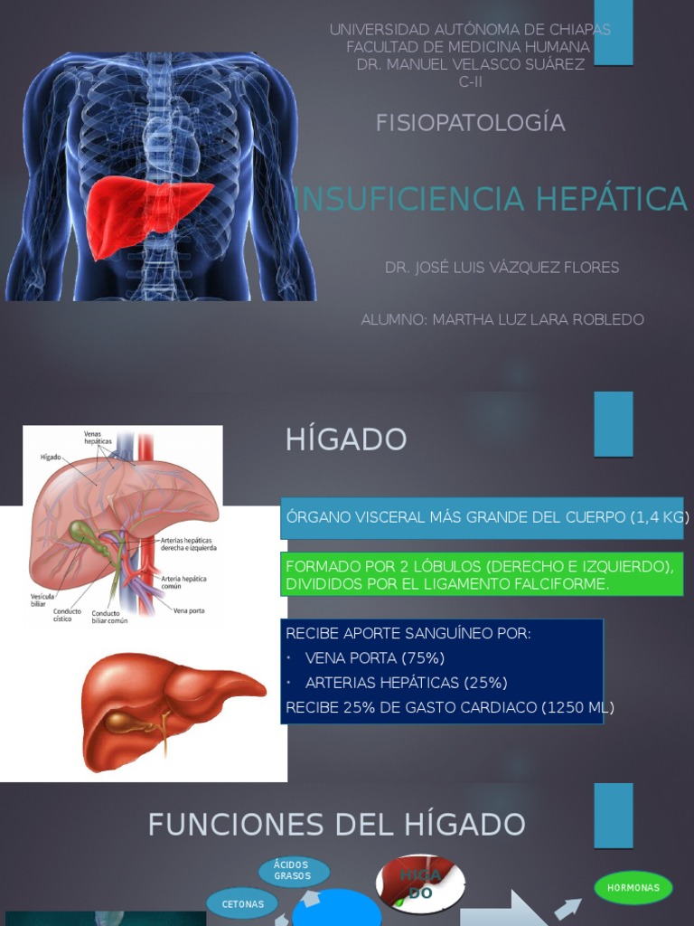 Fisiopatología de la Insuficiencia Hepática | PDF | Hígado | Cirrosis