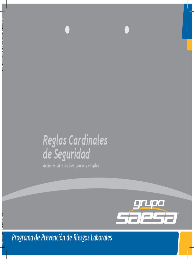 3 - Reglas Cardinales | PDF | Excavación (Arqueología) | Planificación