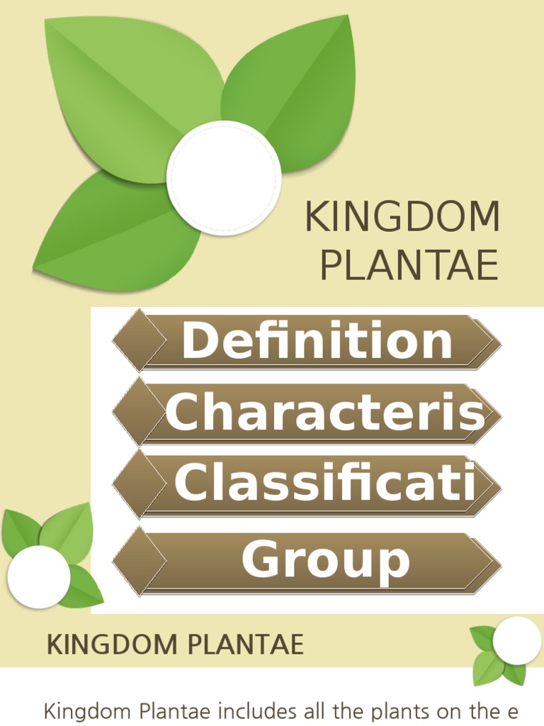 Kingdom PlanTAE | PDF | Plants | Seed