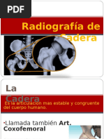 Signo del Témpano y Fabela en Rodilla | PDF | Rodilla | Pie
