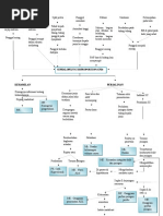 Diagnosa Keperawatan CKD | PDF | Pengembangan Diri | Kesehatan Holistik