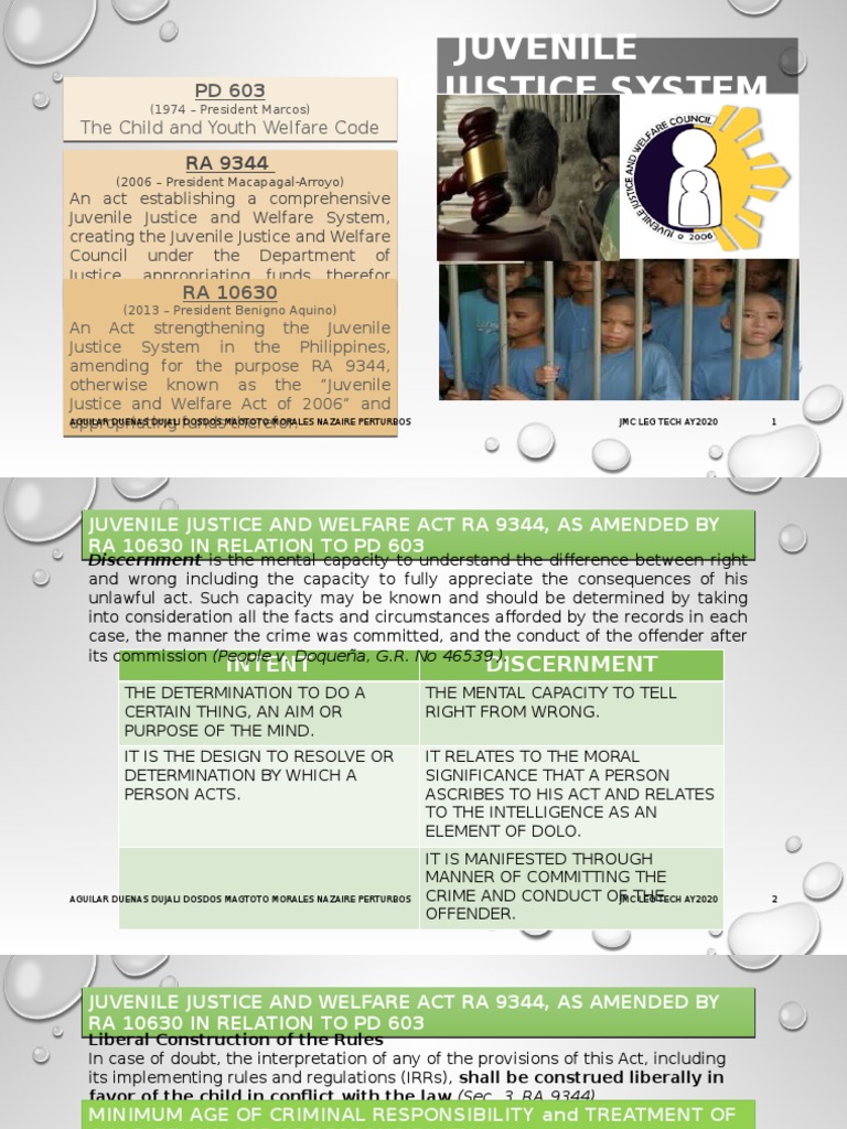 Juvenile Justice System | PDF | Child Pornography | Bail