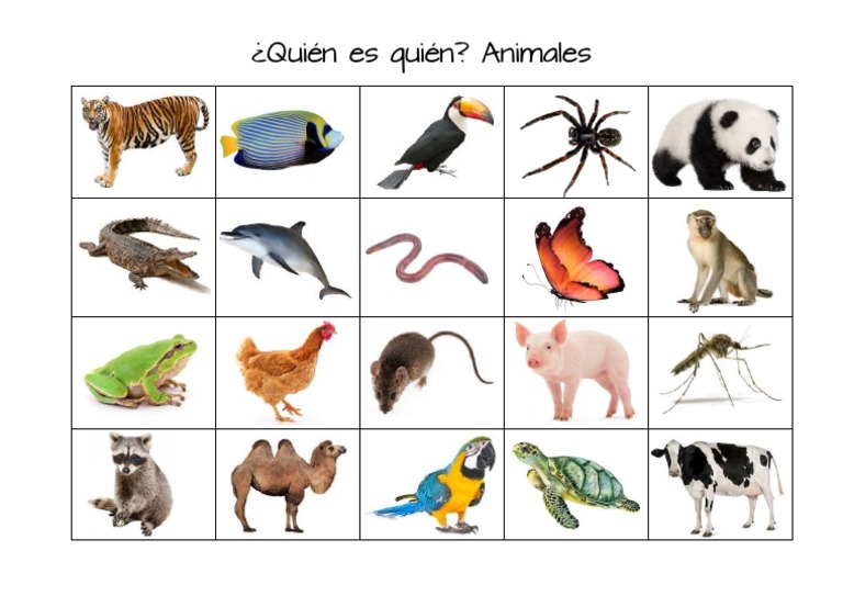 Quien Es Quien Animales | PDF