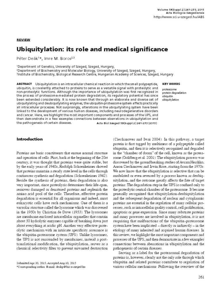 The Role and Medical Significance of Ubiquitylation: An In-Depth Review ...
