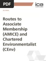 ICE Attributes | PDF | Engineering | Occupational Safety And Health