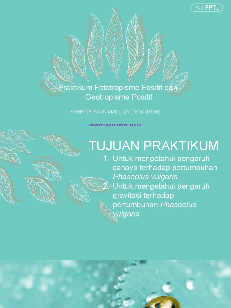 Laporan Praktikum Fistum 2 | PDF