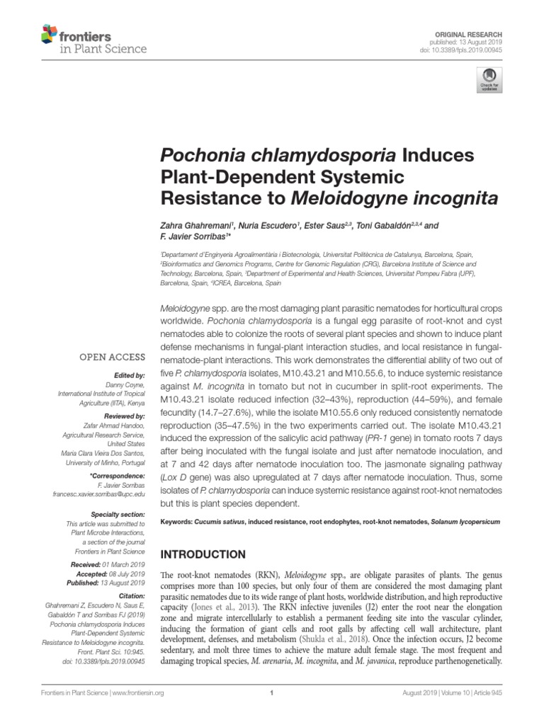 Pochonia Chlamydosporia 2019 PDF | PDF | Real Time Polymerase Chain ...