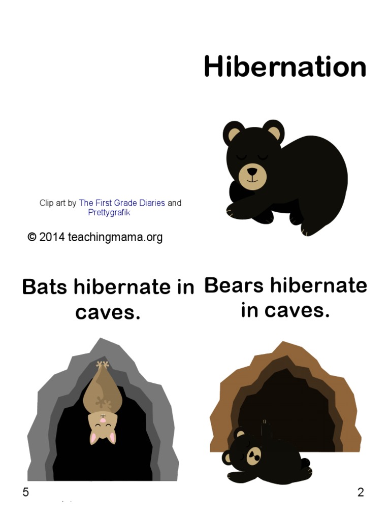 Hibernation Emergent Reader 21