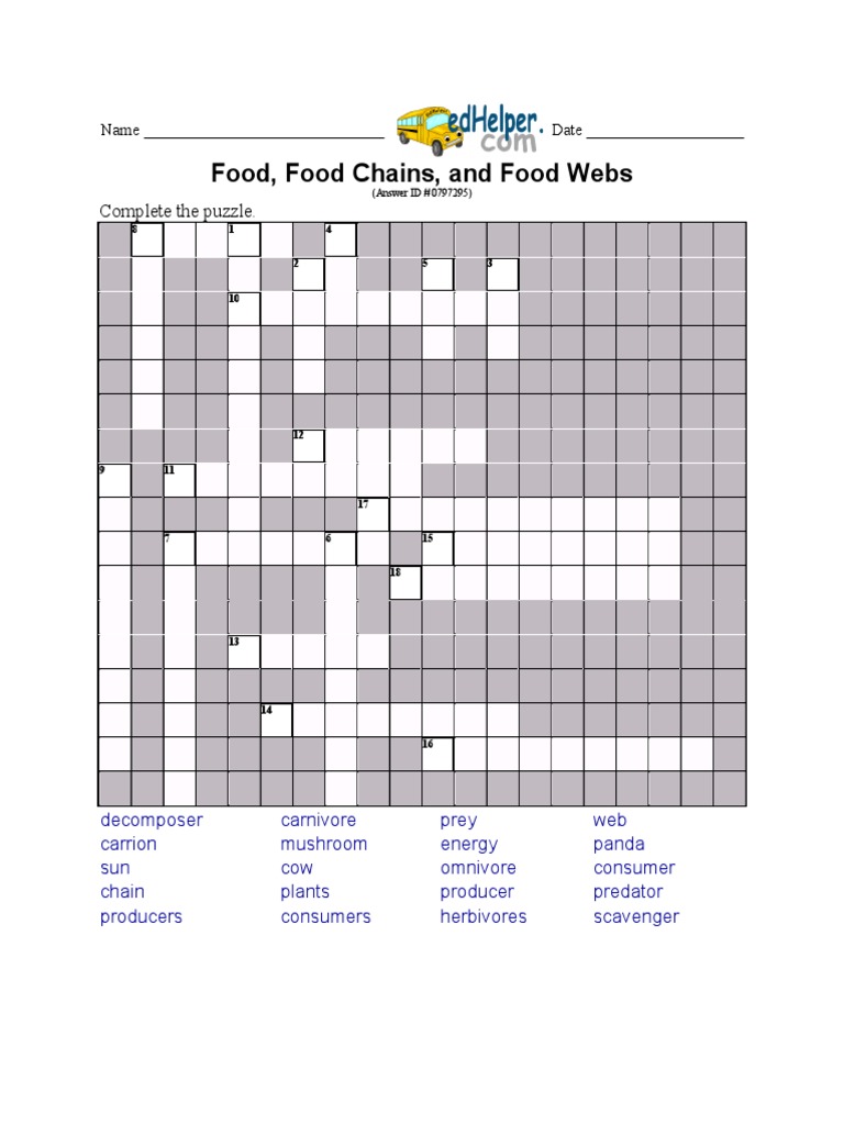 G8 Food Chain Puzzle | Download Free PDF | Herbivore | Biogeochemistry