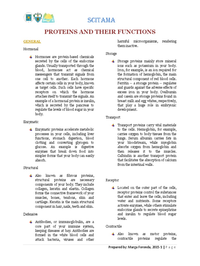 CHEM 600 - Biochemistry - Proteins-And-Their-Function PDF | PDF ...