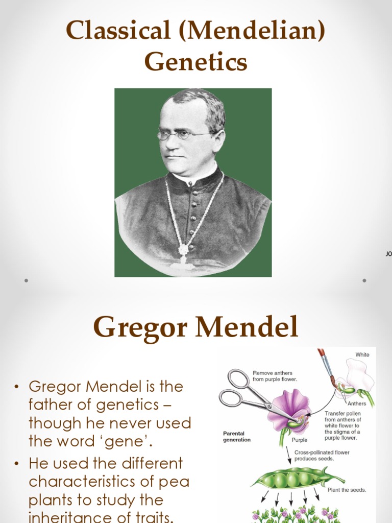 Mendelian Genetics Overview | PDF | Blood Type | Allele