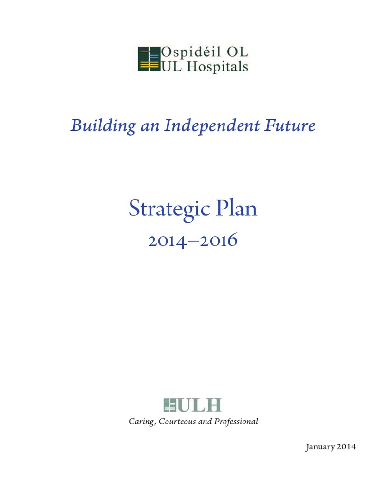 Comprehensive Hospital Strategic Plan Example | PDF | Health Care ...