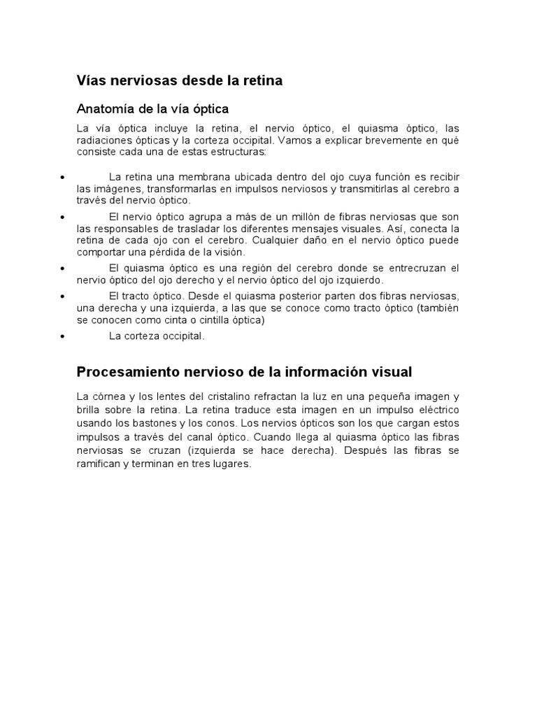 Anatomía de la Vía Óptica Visual | PDF | Métodos y materiales de enseñanza