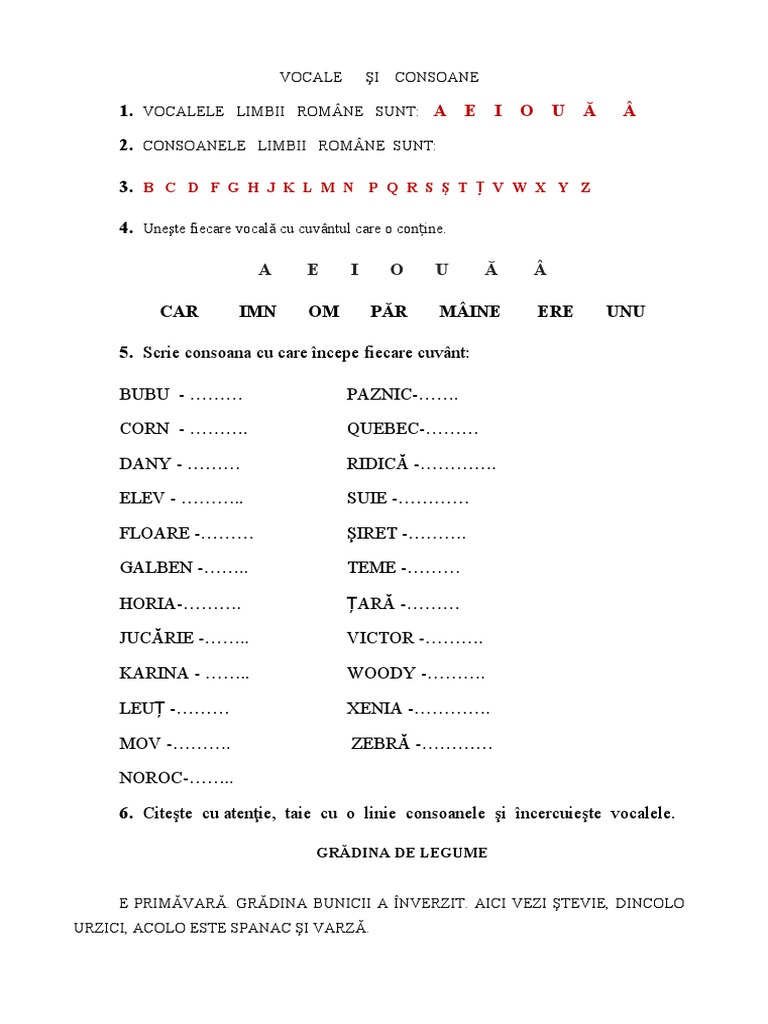 Vocale Si Consoane | PDF